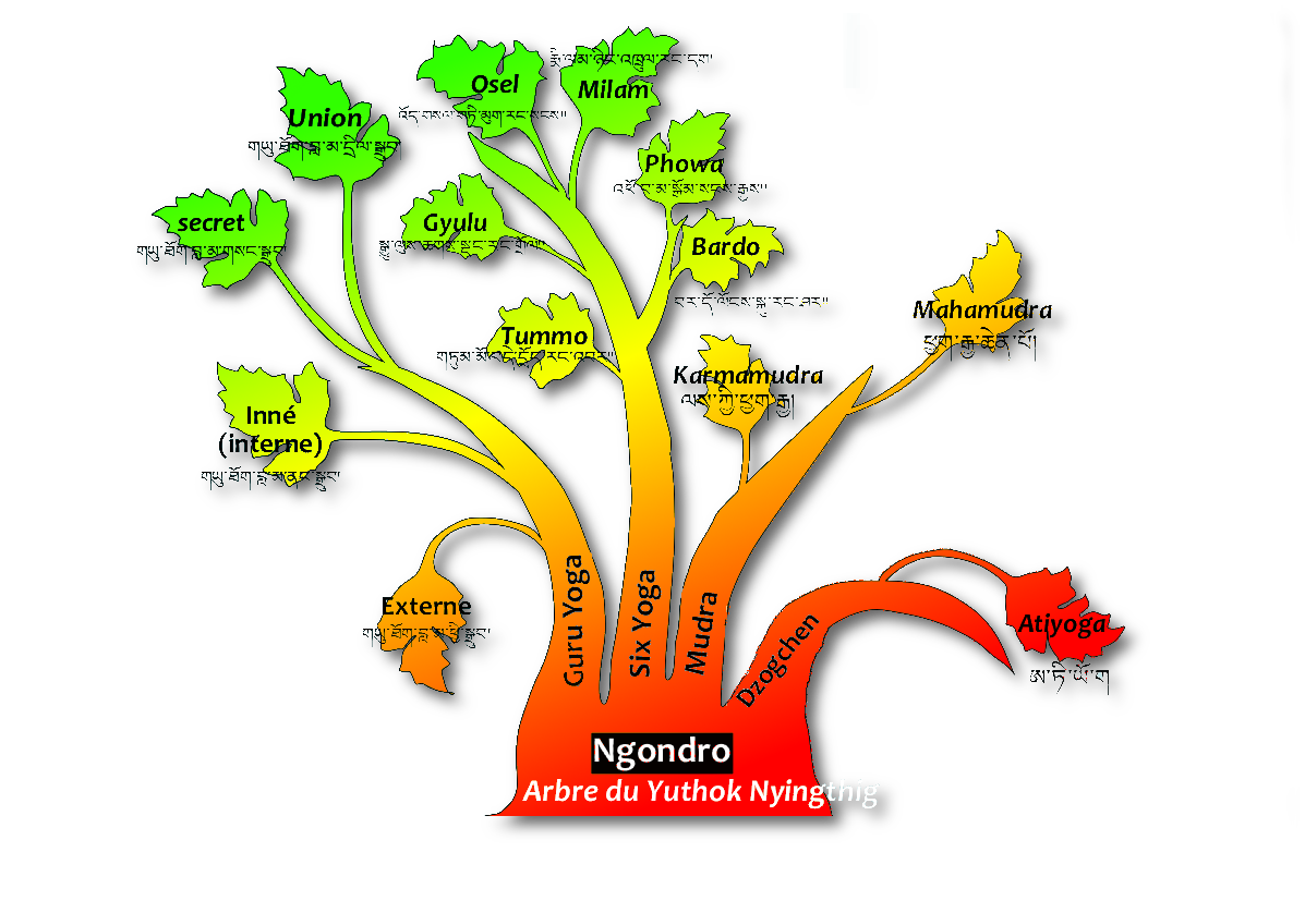 La pratique du Yuthok Nyingthig – Sorig Khang France